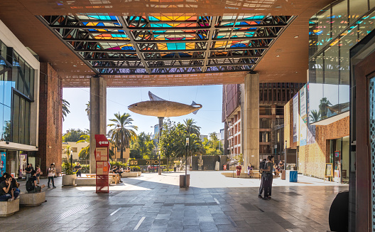 Recomendaciones para Visitar el GAM 】 | Conociendo Chile