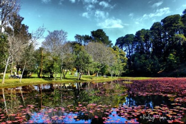 Mejores Parques en Valdivia 】 | Conociendo Chile