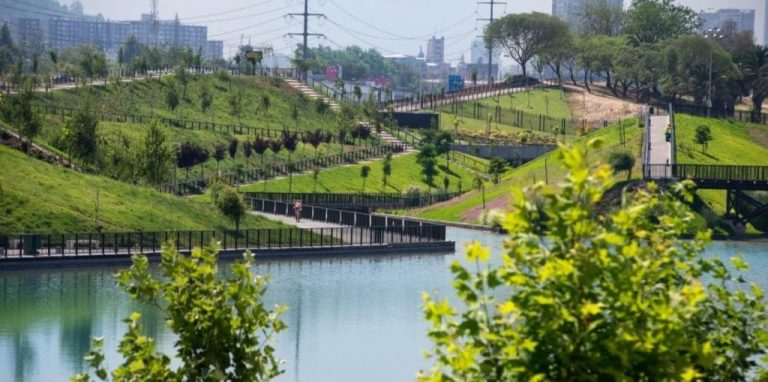 Visitar el Parque Tricao 】 | Conociendo Chile